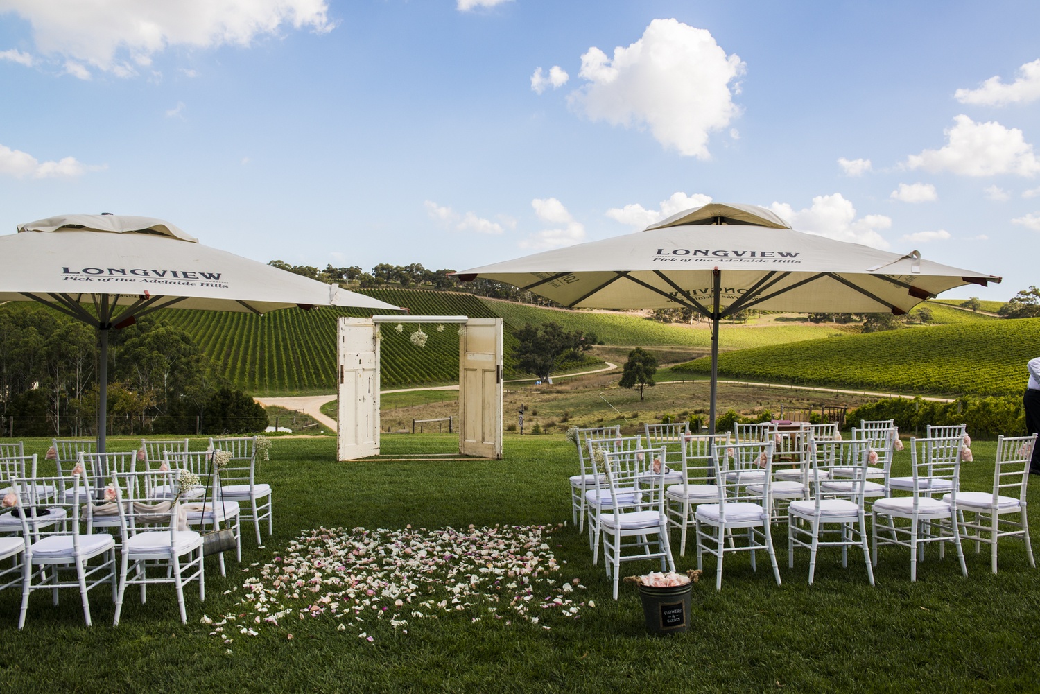 Longview Vineyard - Griffin Alliance